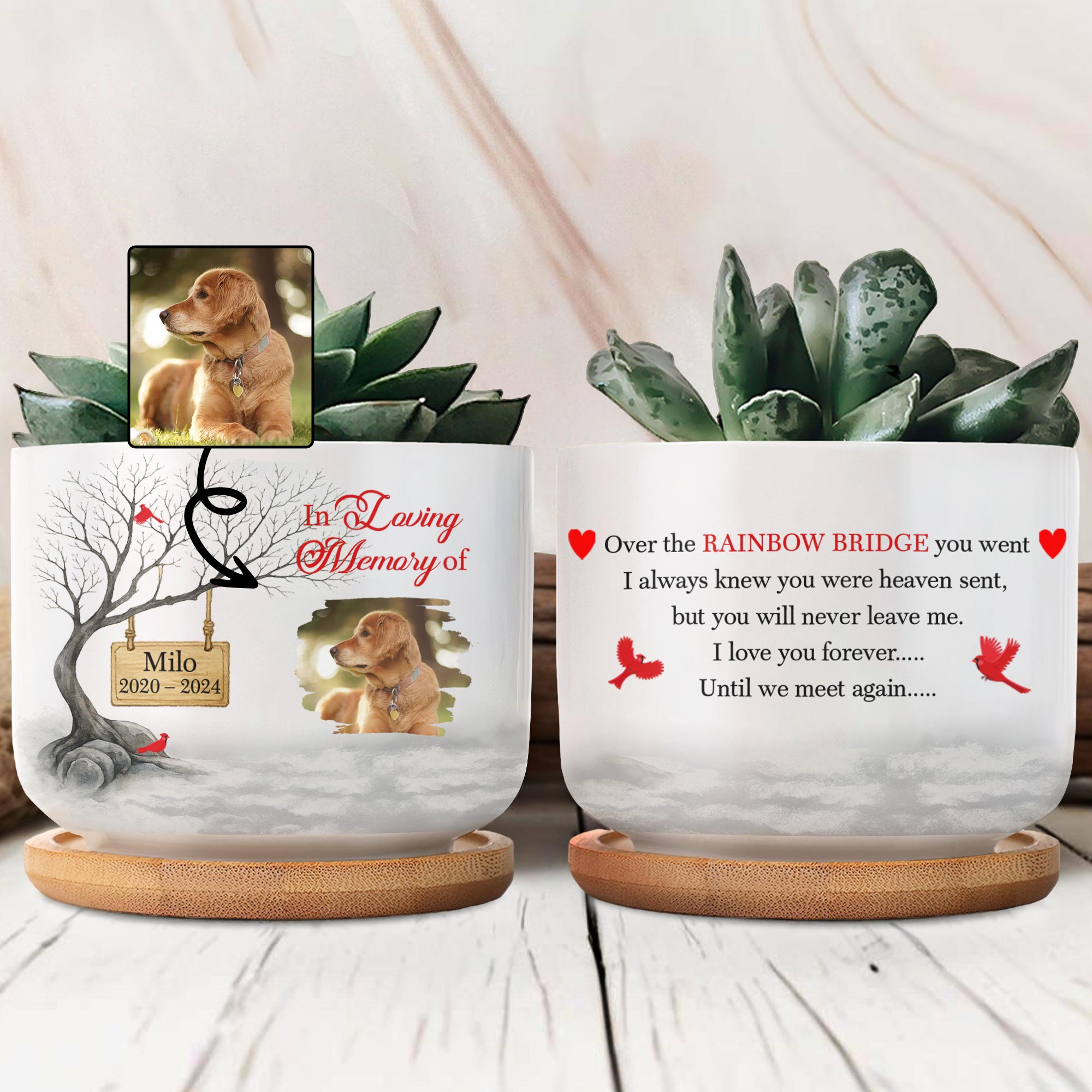 In Loving Memory Of, Rainbow Bridge Heartfelt Message, Ceramic Plant ...